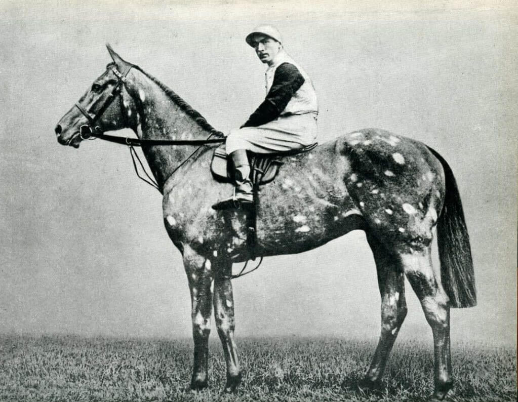The Tetrarch, A Horse of a Different Color - Impressions of Saratoga